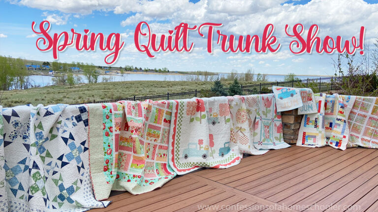 Spring Quilt Trunk Show and HUGE Sale!! - Confessions of a Homeschooler